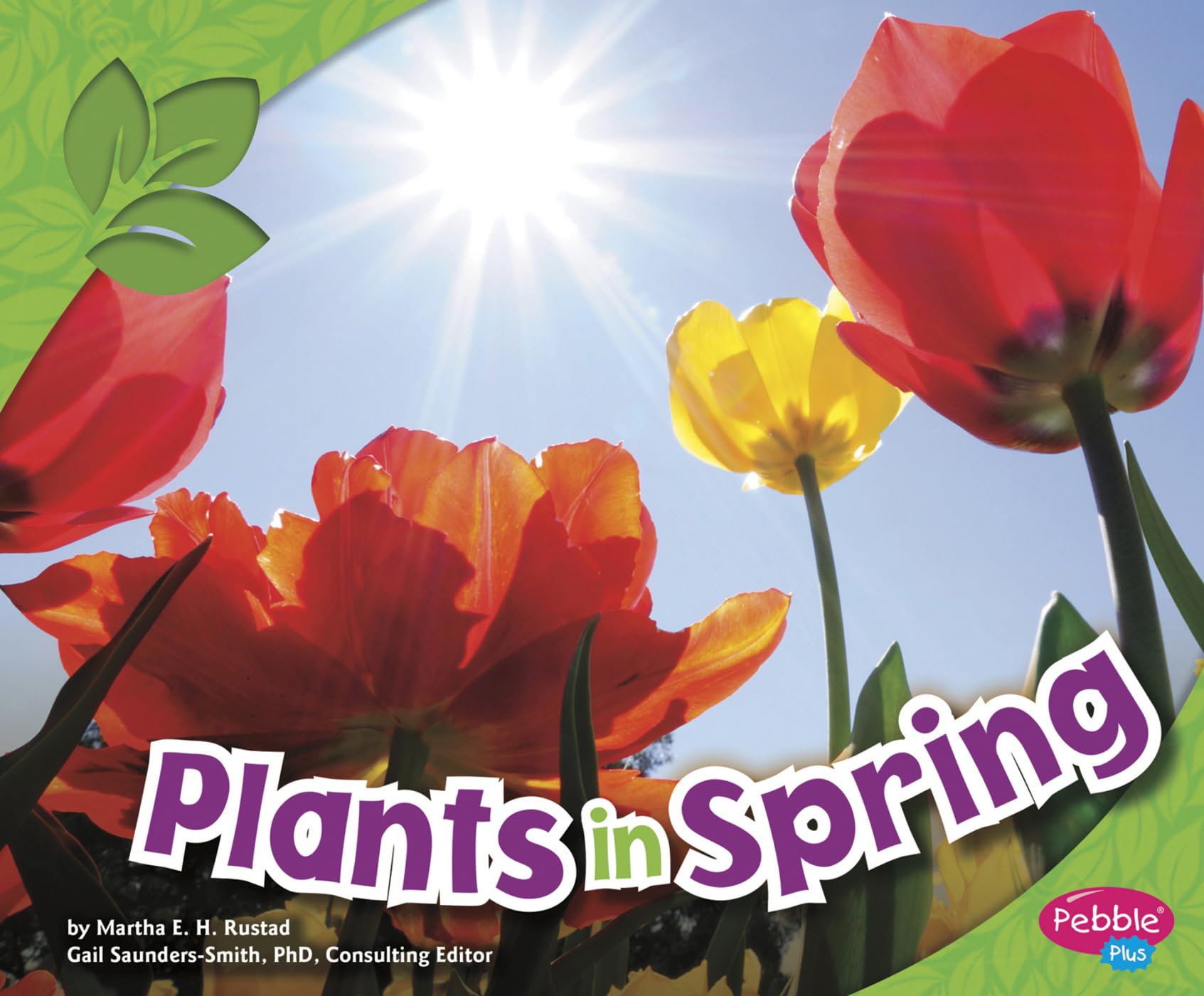 Plants in Spring (All About Spring): Rustad, Martha E. H ...