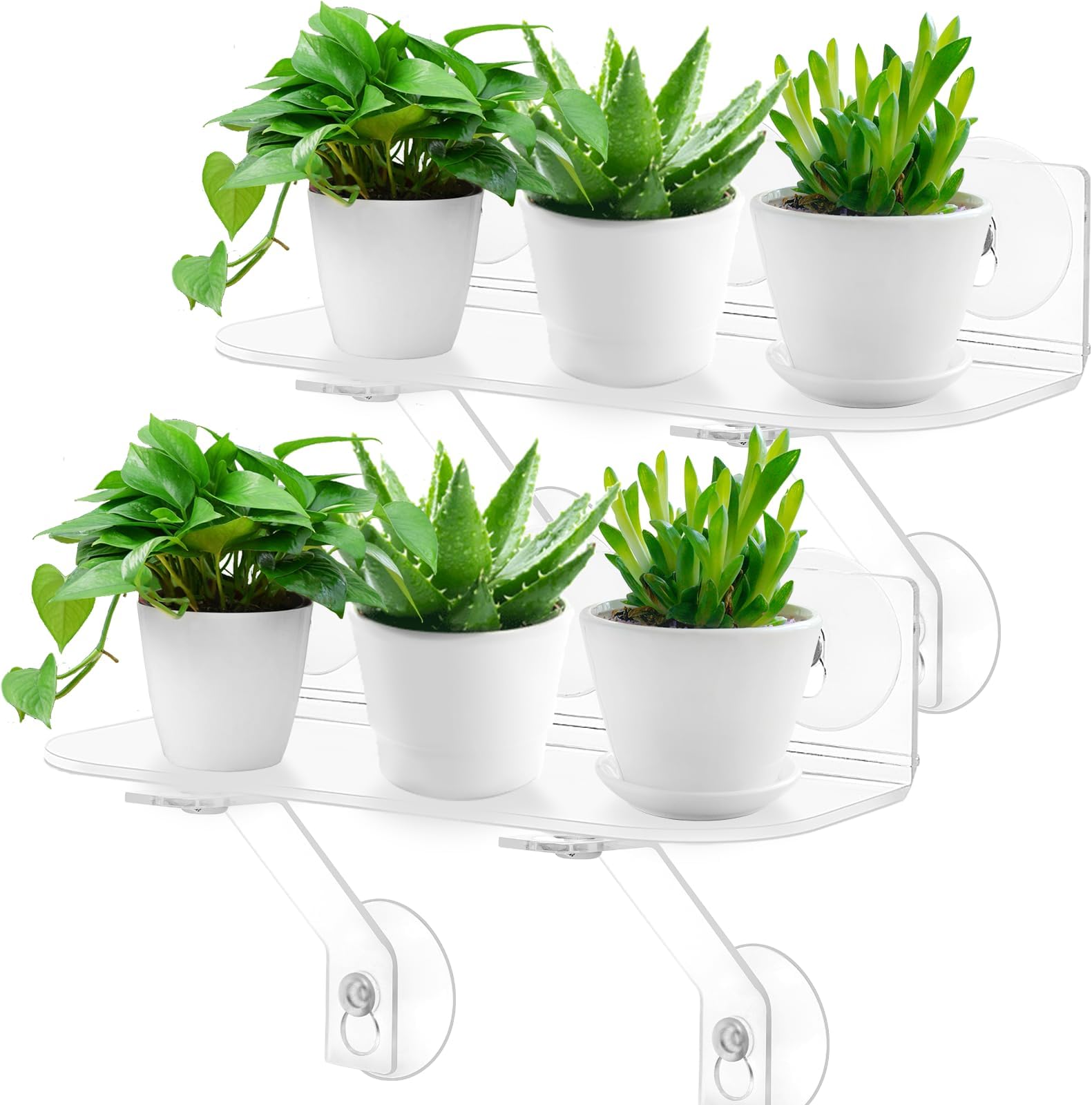 Amazon.com: SNAIL GARDEN 2Pack Window Shelf for Plants,12Inch Acrylic ...