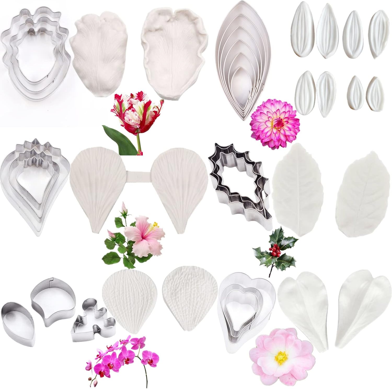 Amazon.com: Colorkitchenware 39Pcs Gumpaste Flower Molds and Cutters ...