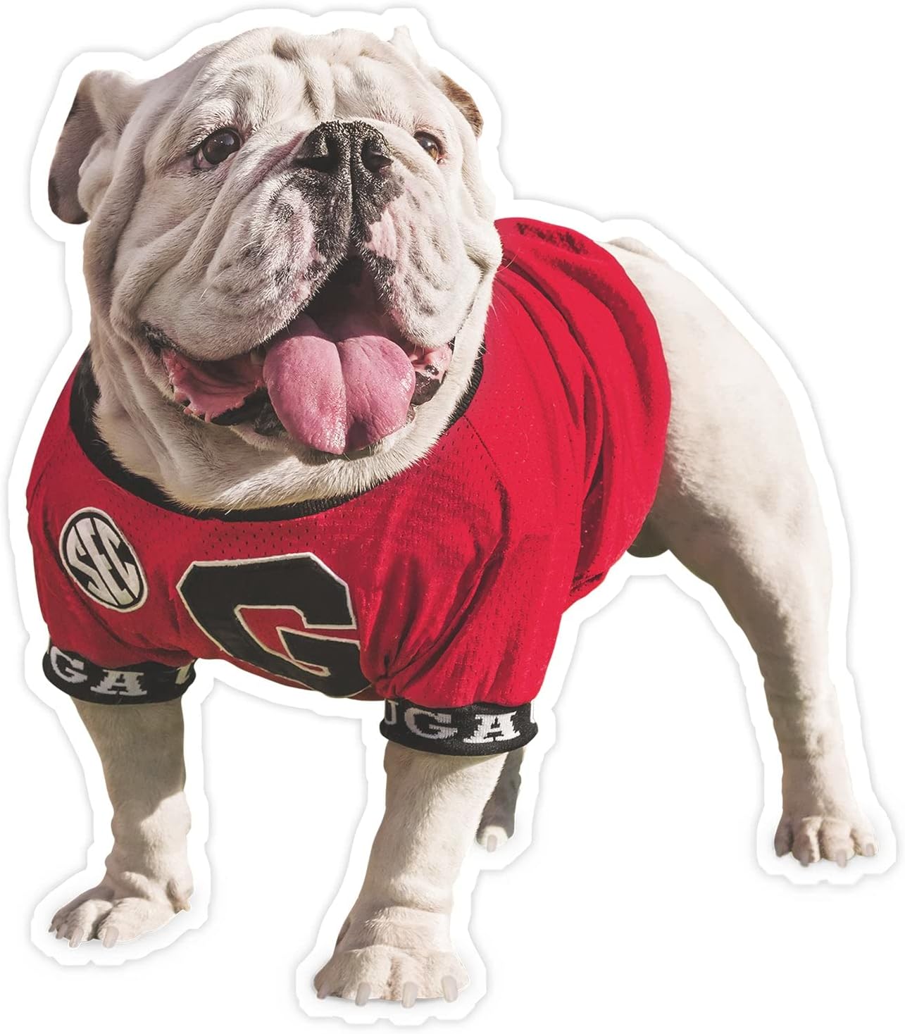 Amazon.com: UGA Georgia Bulldogs: Die Cut Sticker - UGA X Football ...