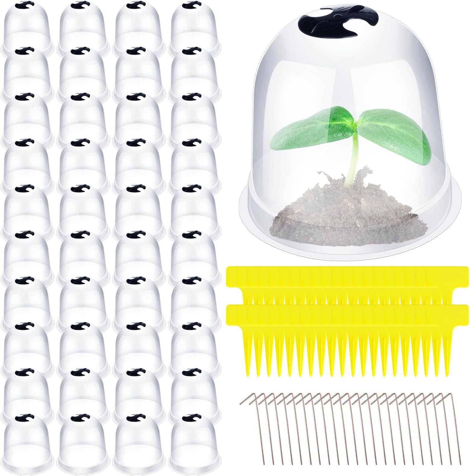 Amazon.com : 40 Pack Clear Garden cloches Bell Covers,7.3 x 6.9 Inch ...