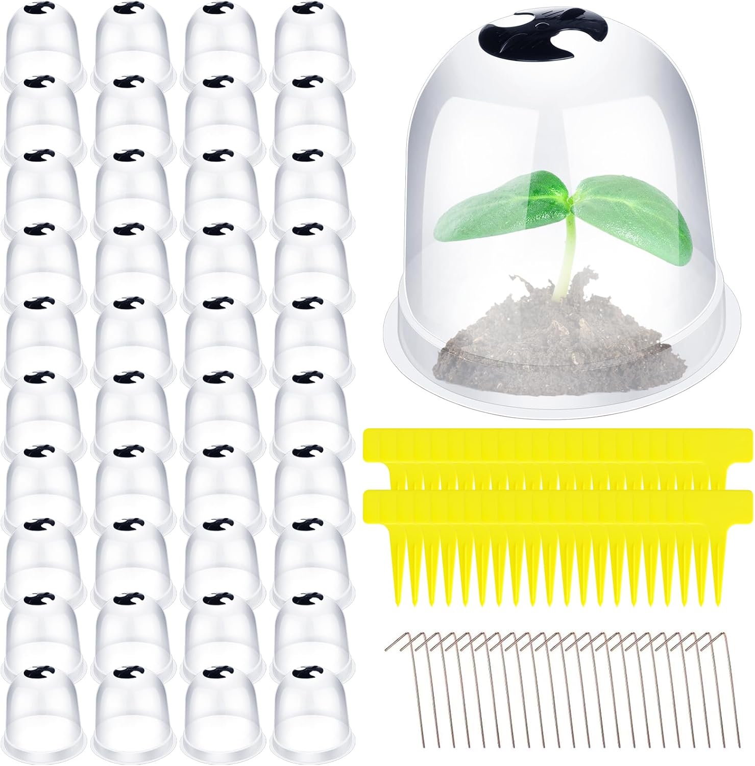 Amazon.com : 40 Pack Clear Garden cloches Bell Covers,7.3 x 6.9 Inch ...