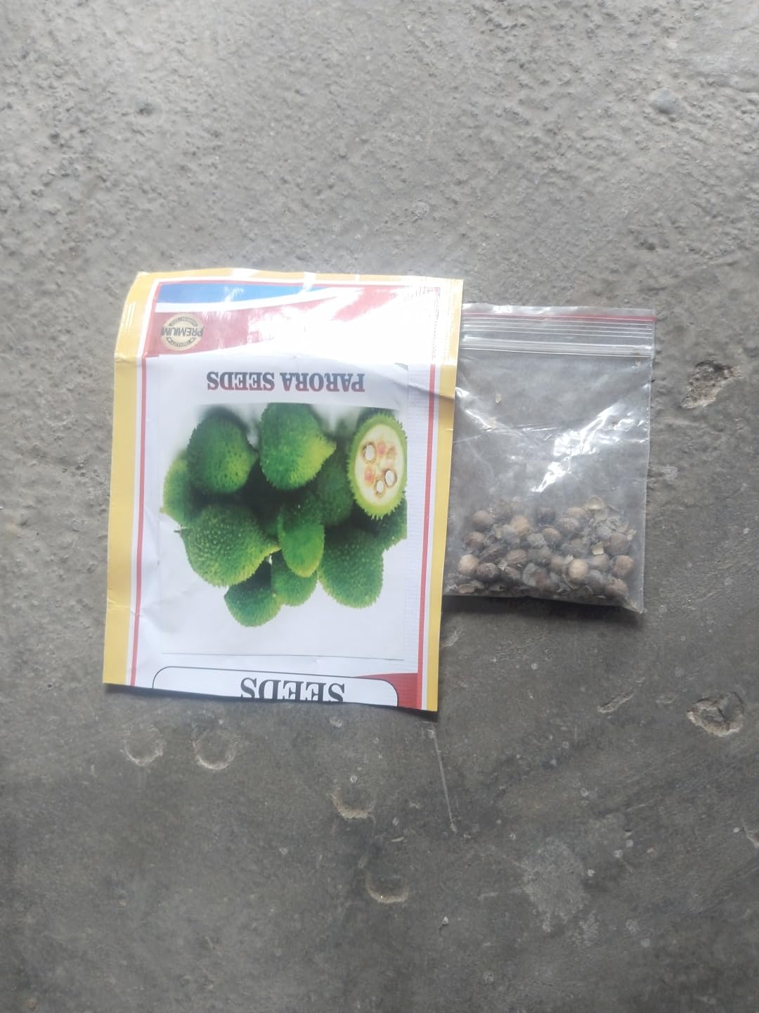 Kakoda Kantola seeds hybrid, Kakrol seeds hybrid (20 seeds) : Amazon.in ...