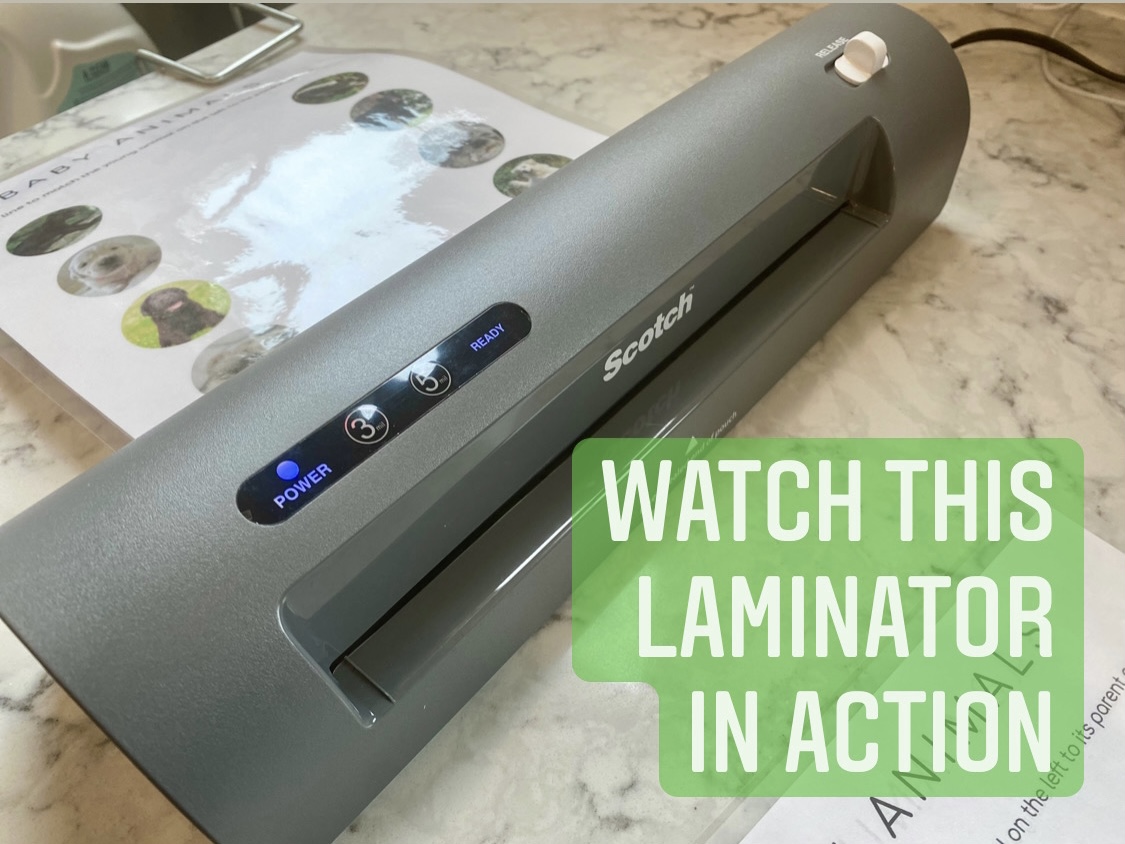 Watch How to Use the Scotch Laminator on Amazon Live
