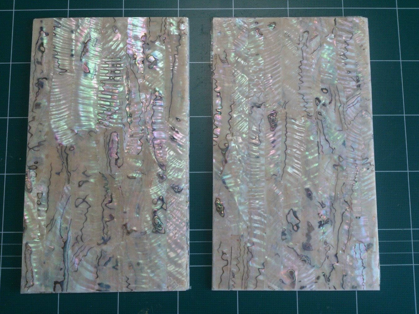 Amazon.com: Mexican Green abalone shell inlay veneer sheets 9.5 x 5.5 x ...