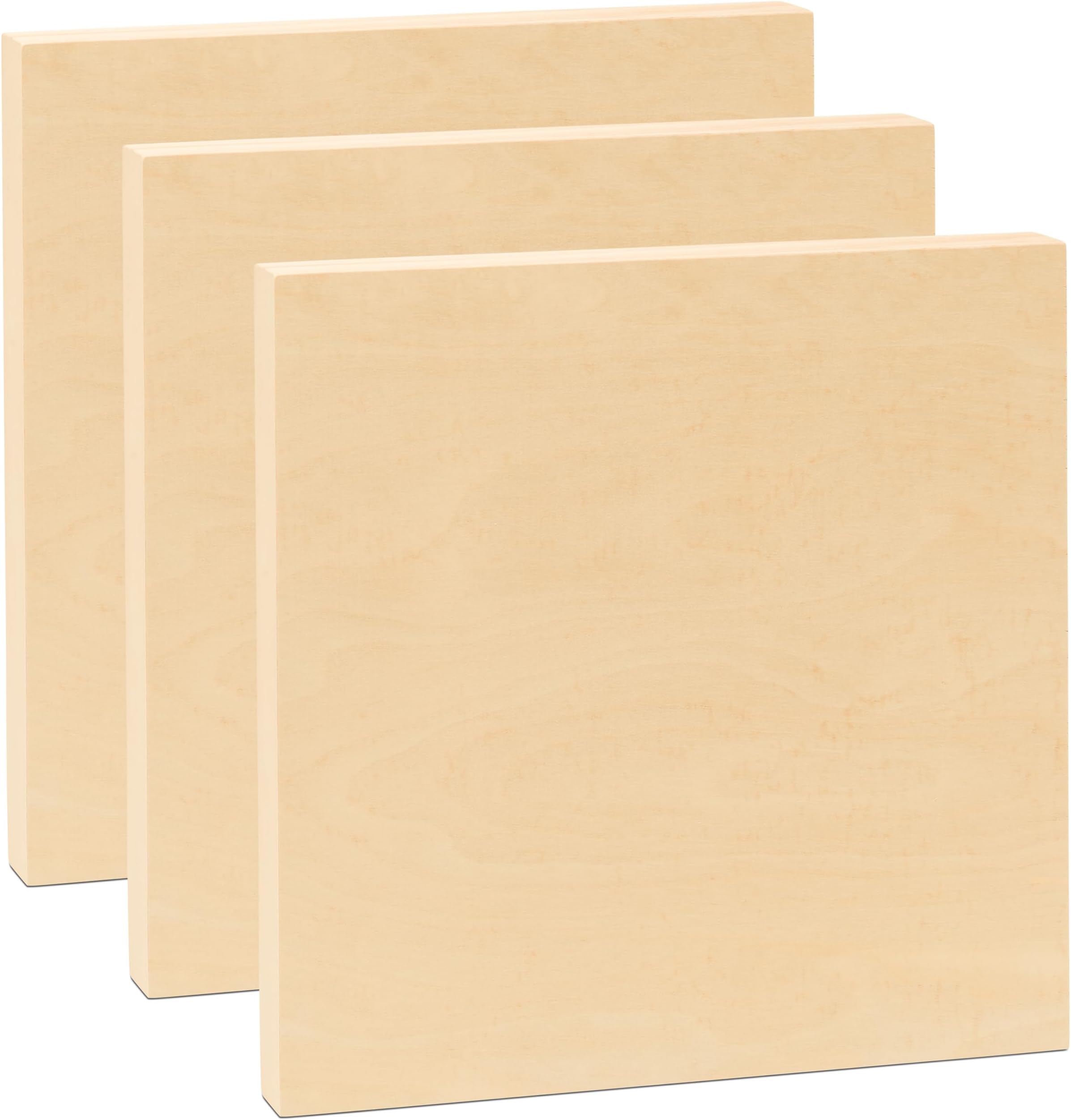 Amazon.com: JOIKIT 10 Pack 9 x 12 Inch Wood Canvas Panels, Wooden ...
