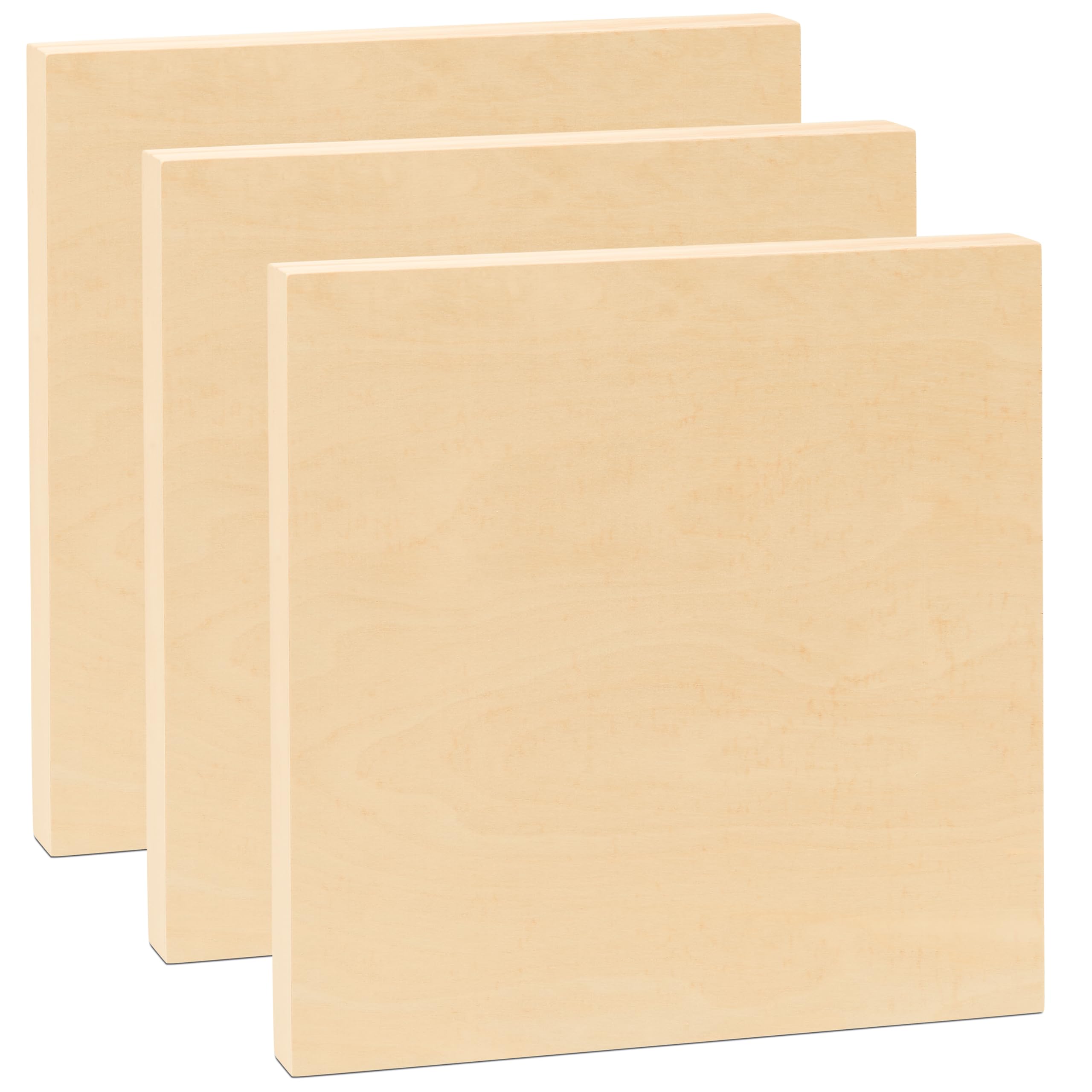 Amazon.com: Dragon Drew Unfinished Wood Canvas Boards with 1.25” Cradle ...