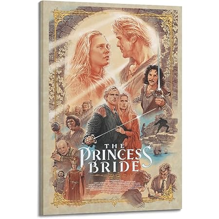 Amazon.com: MIPIADOLIM The Princess Bride Movie Poster Retro Metal Sign ...