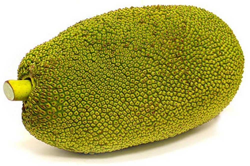 Fresh Produce Jackfruit - Raw, 500g Pack : Amazon.in: Grocery & Gourmet ...