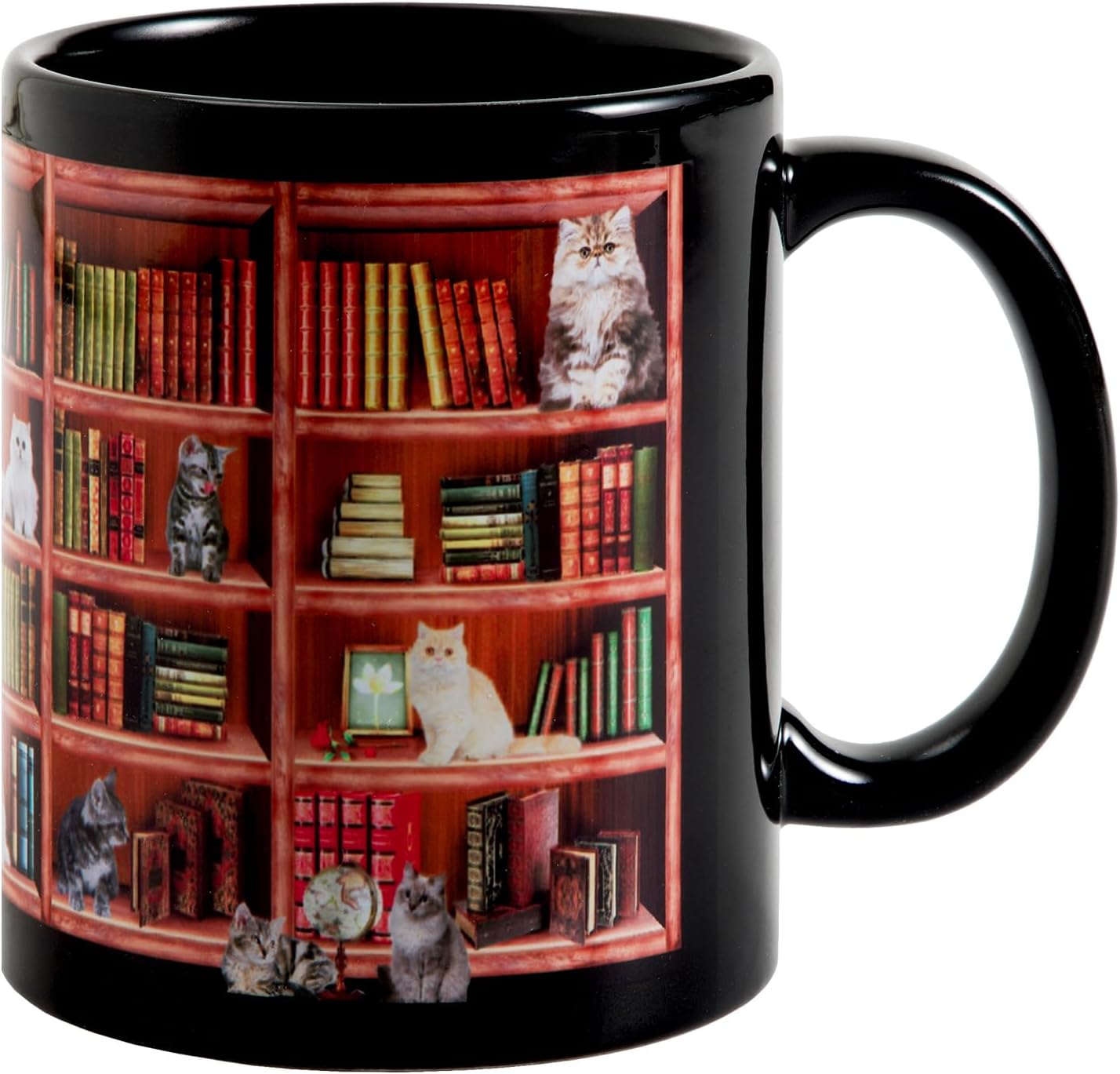 Amazon.com: BORULEEY Library Bookshelf Mug,Cat and Book Coffee Mug ...