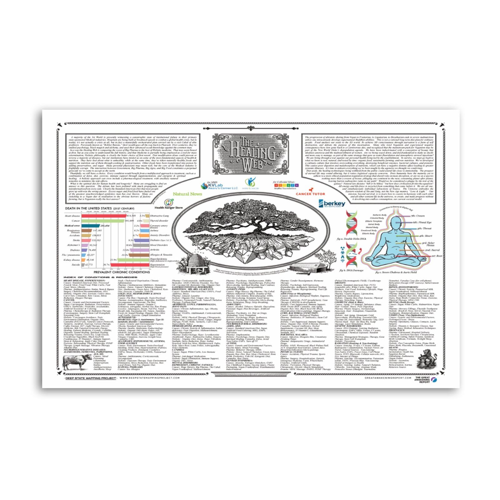 Amazon.com: Healing Web Map Poster Spirit Natural Remedies Chart Poster ...