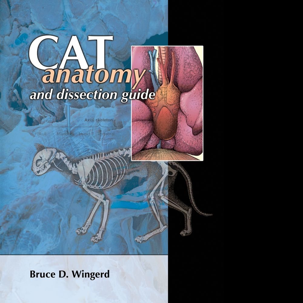 Amazon.com: Cat Anatomy And Dissection Guide: 0840132673433: Industrial ...