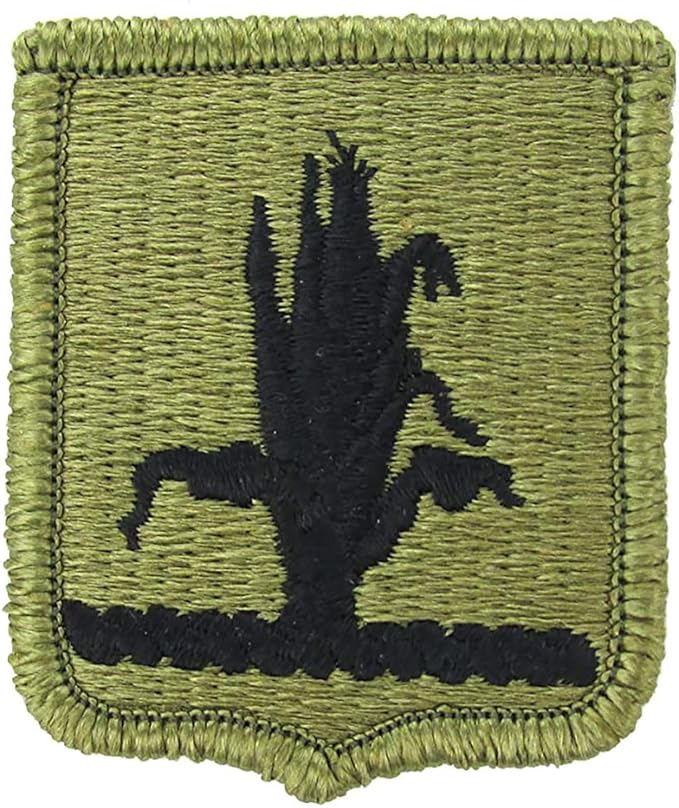 Amazon.com: Nebraska National Guard OCP Patch (Military Issued)-Veteran ...