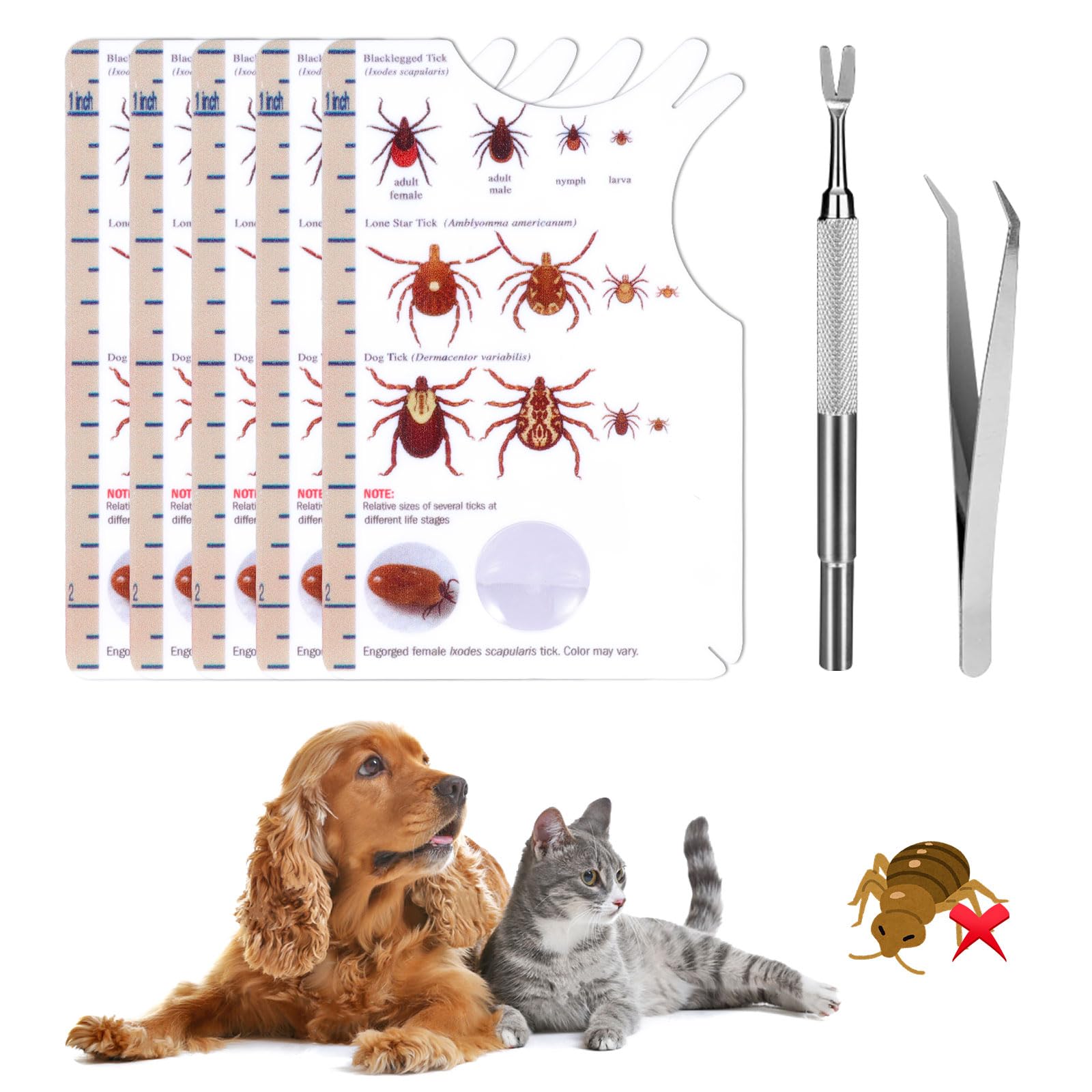 Tick Card with Magnifying Glass, 5 Tick Card with with 2 Stainless ...