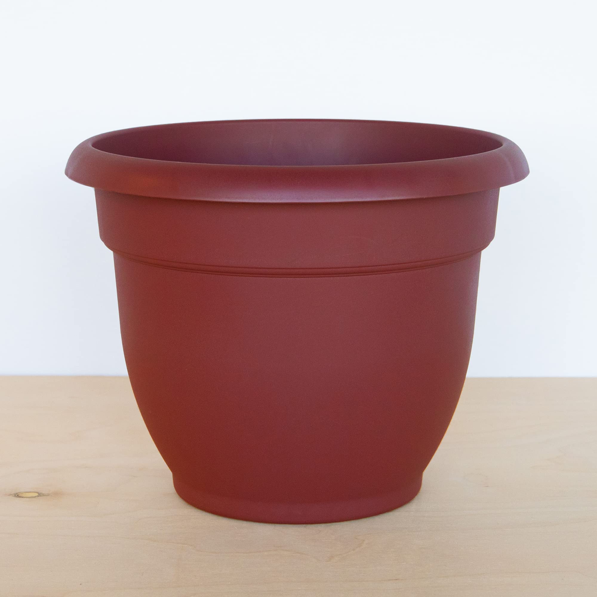 Bloem Ariana Self Watering Planter: 16" - Burnt Red - Durable Resin Pot ...