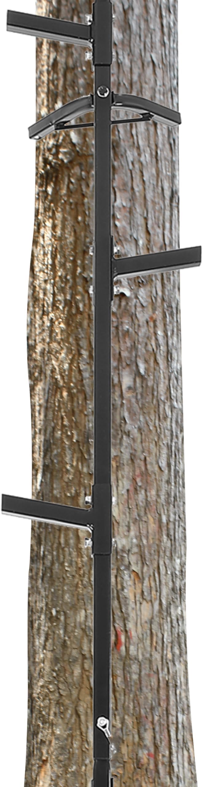 Amazon.com: HECASA 20 ft Climbing Sticks for Hunting, Treestand ...