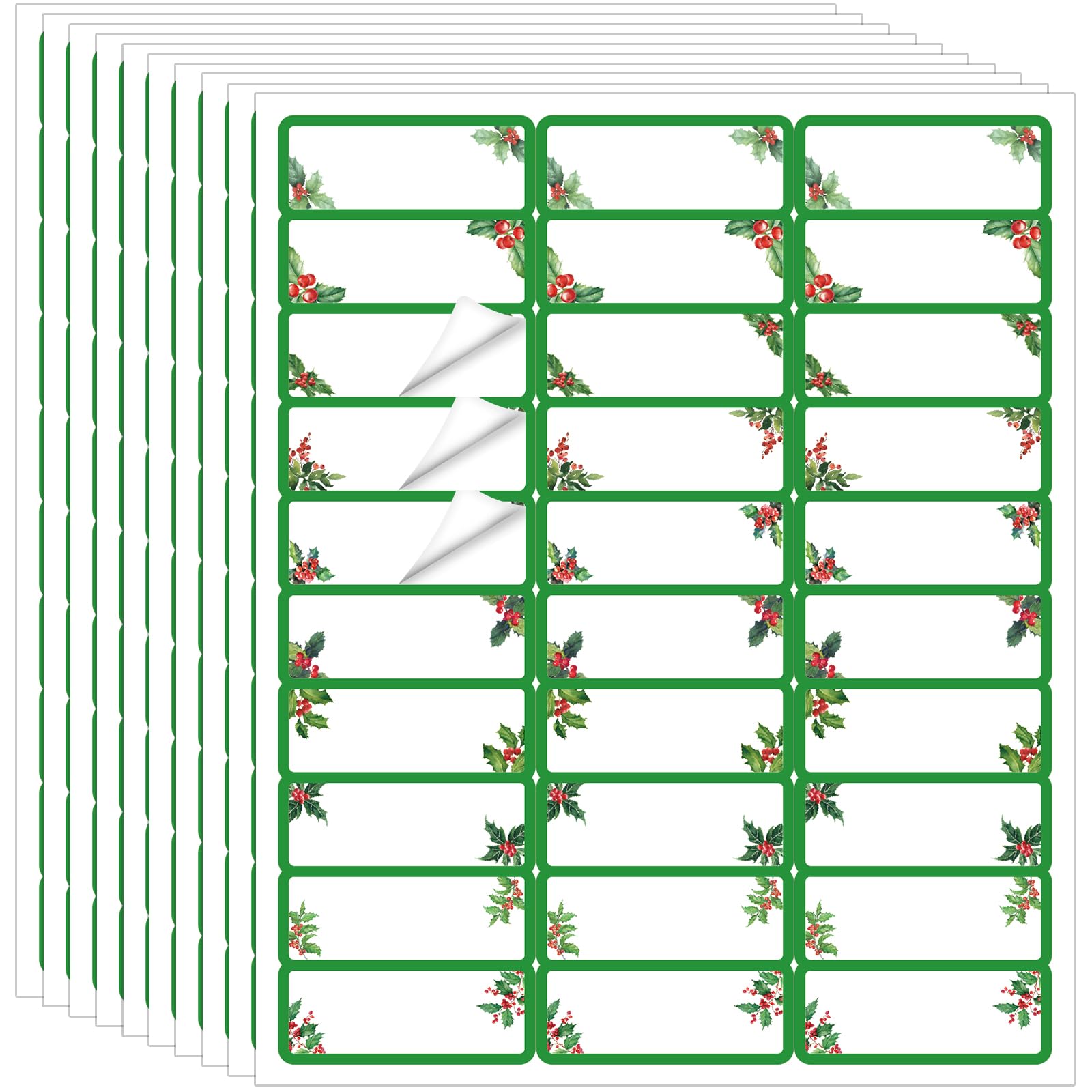 Amazon.com : Spiareal 750 Pcs Christmas Address Labels 1 x 2.625 Inch ...