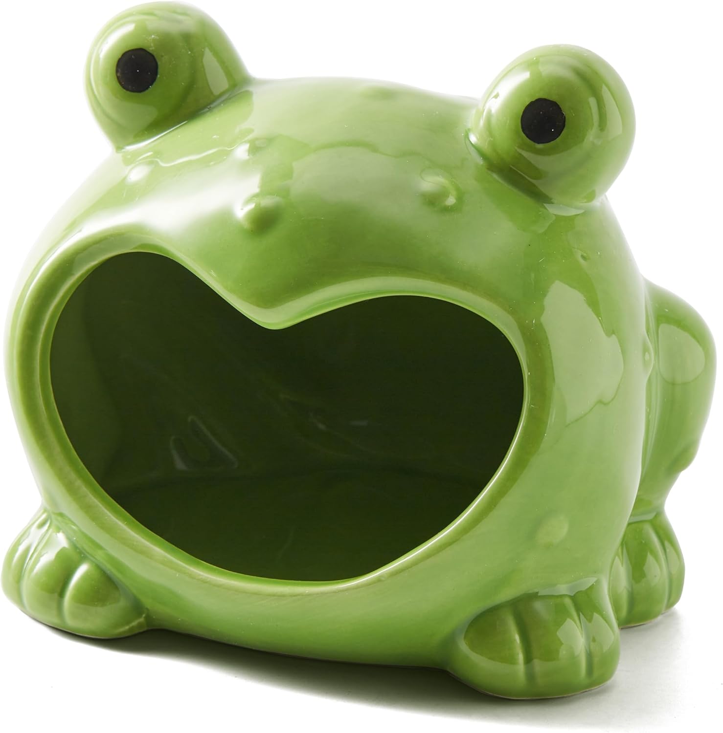Amazon.com - Ceramic Frog Sponge Holder for Kitchen Sink - Cute Sponge ...