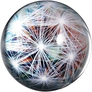 Amazon.com: HANUR K9Crystal Paperweight Dandelion Seed Globe Hemisphere ...