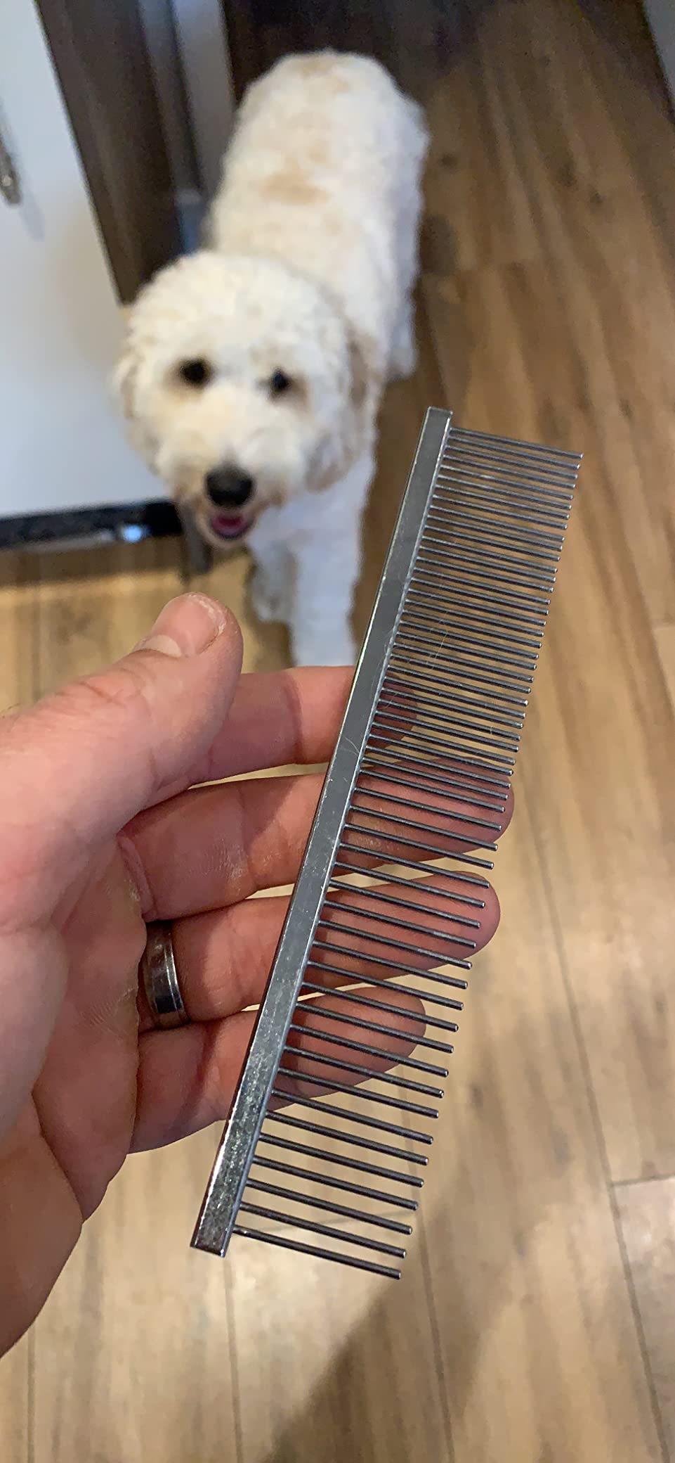 Wahl Metal Pet Comb, Stainless Steel Dog and Cat Comb, Rust Resistant ...