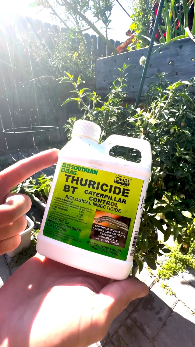 Watch Southern AG Thuricide BT Caterpillar Control ﹙FULL Review﹚ on ...
