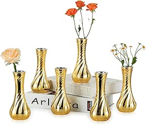 Amazon.com: NUPTIO Glass Bud Vase Gold: 6 Pcs Small Flower Vases for Wedding Party Table ...