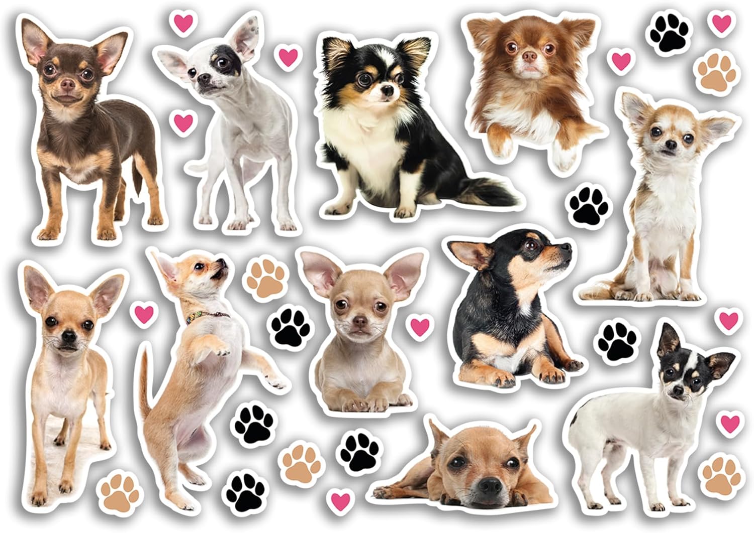 Hoja de pegatinas A5 Chihuahua Pegatinas de vinilo - Perros Cachorros ...