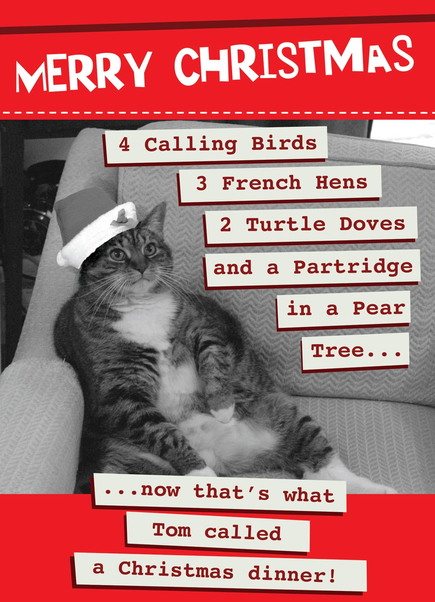 TP Cats Christmas Dinner Single Christmas Card : Amazon.co.uk ...