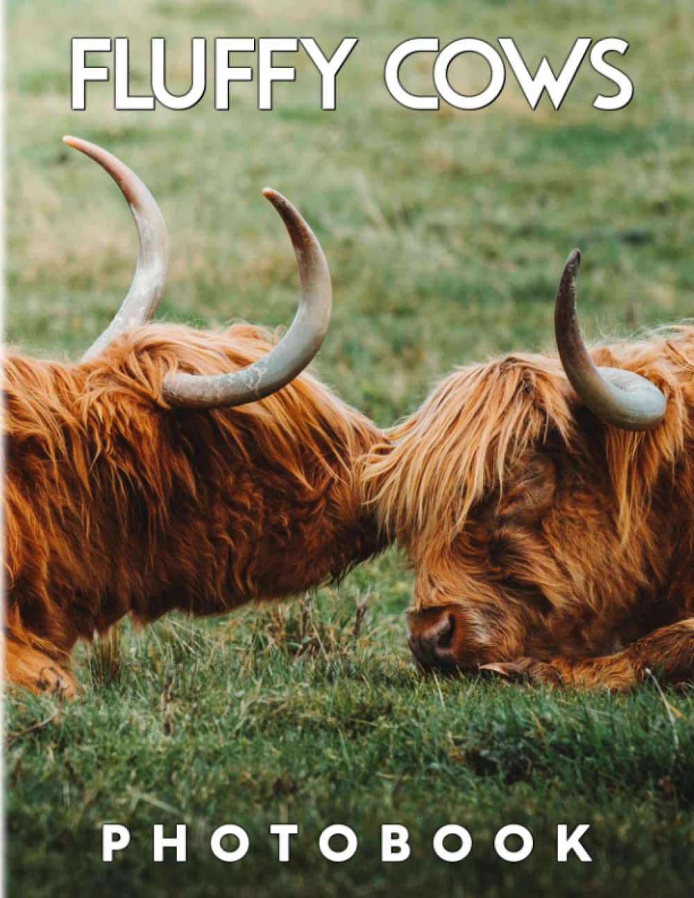 Fluffy Cows Photography Book: Photo Album Collection Of Adorable And ...