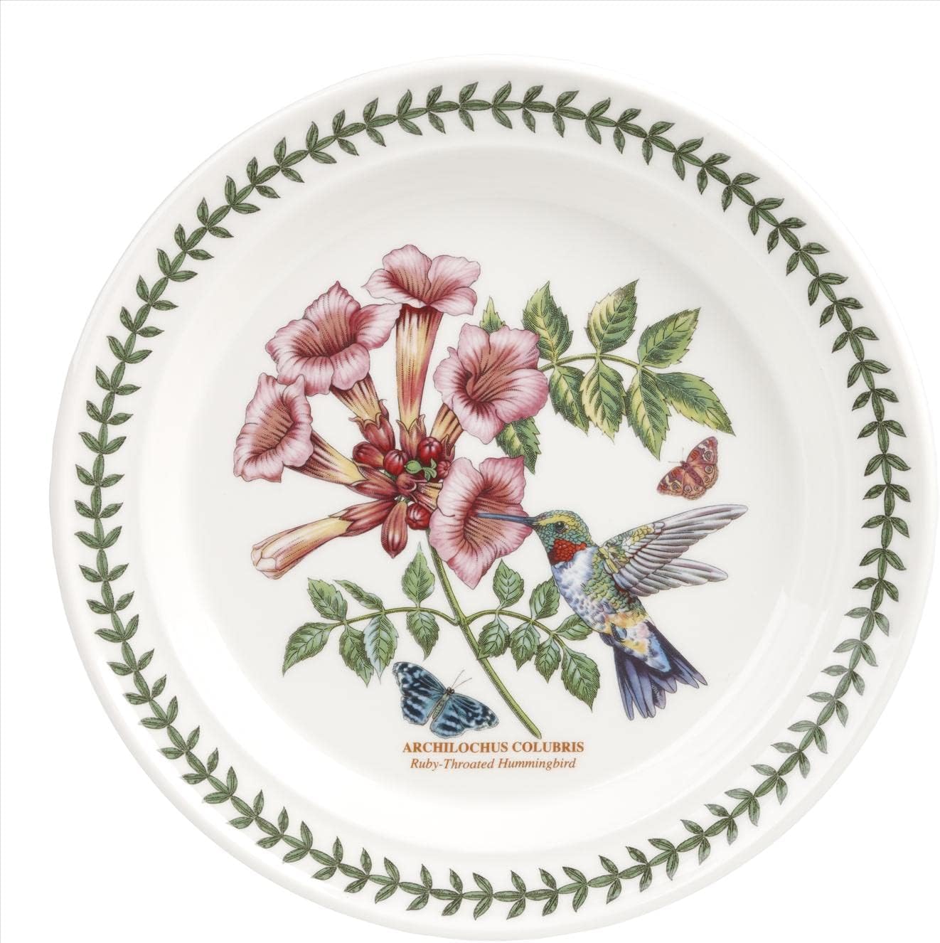 Amazon.com | Portmeirion Botanic Garden Birds Dinner Plate | 10.5 Inch ...