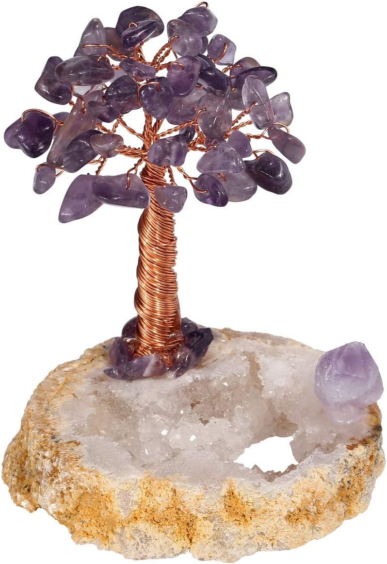 Amazon.com: Top Plaza Amethyst Money Tree Reiki Healing Crystal Stones ...