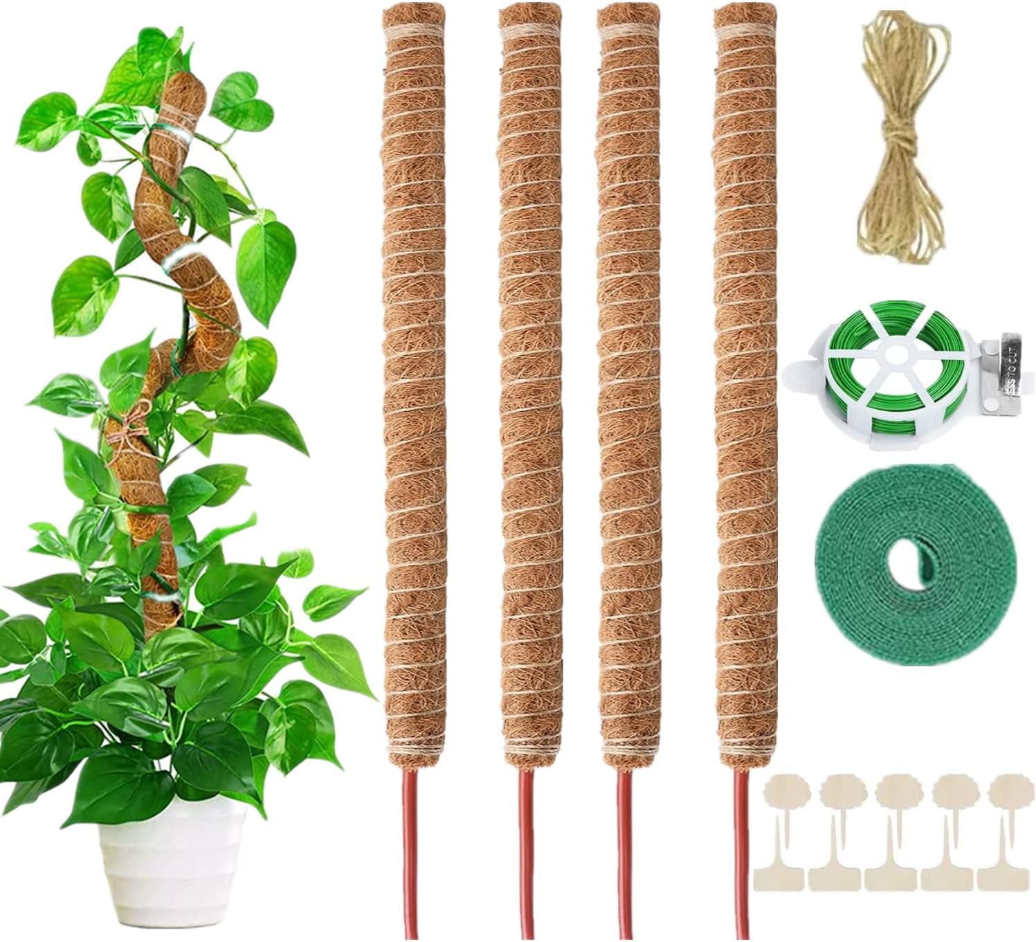 Monstera Rankhilfe,Moosstab für Monstera,6pcs Pflanzstab Monstera ...