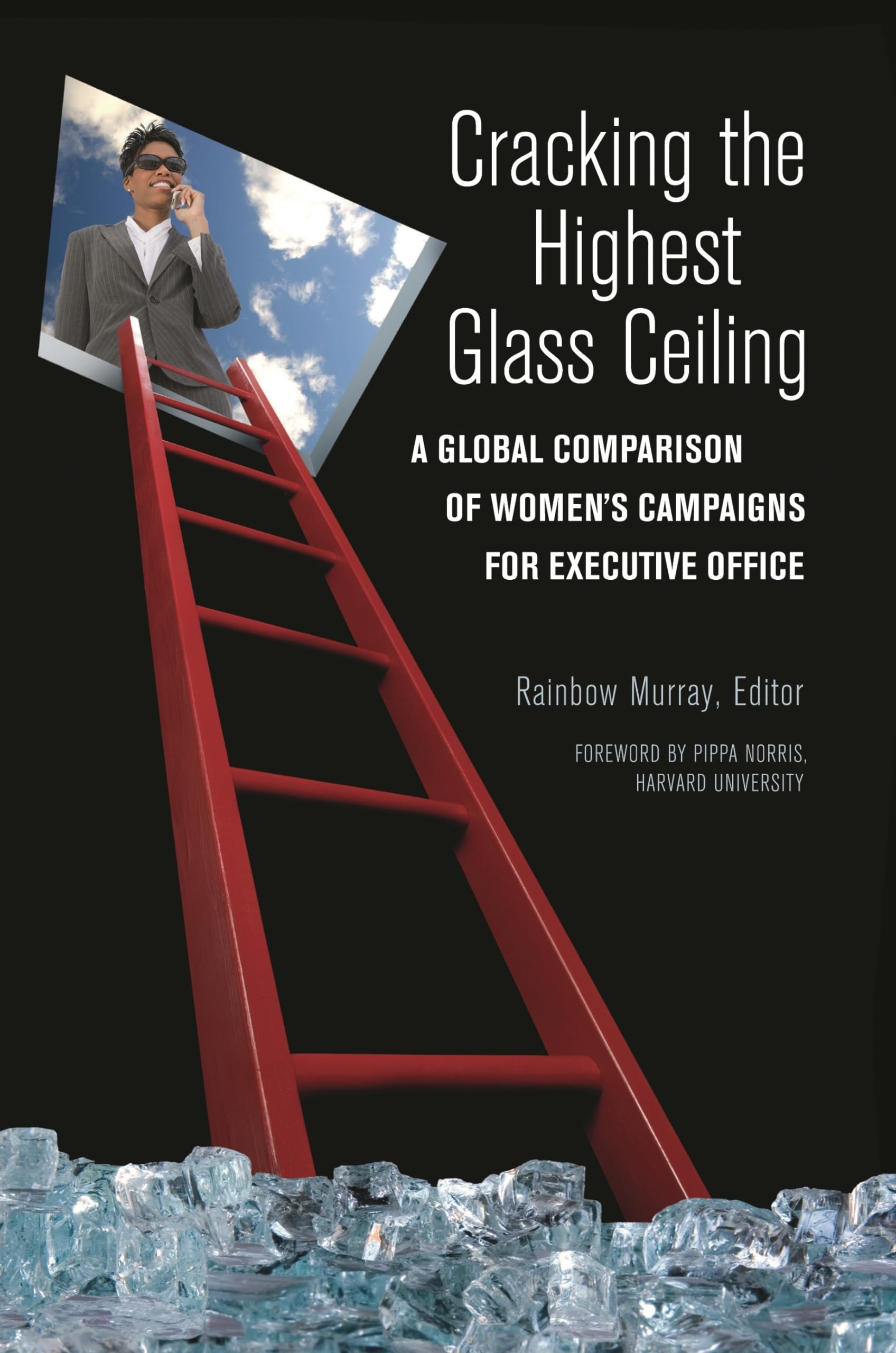 Cracking the Highest Glass Ceiling: A Global Comparison of Women's ...
