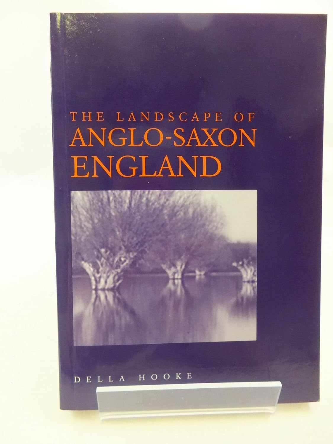 The Landscape of Anglo-Saxon England: Hooke, Della: 9780718501617 ...
