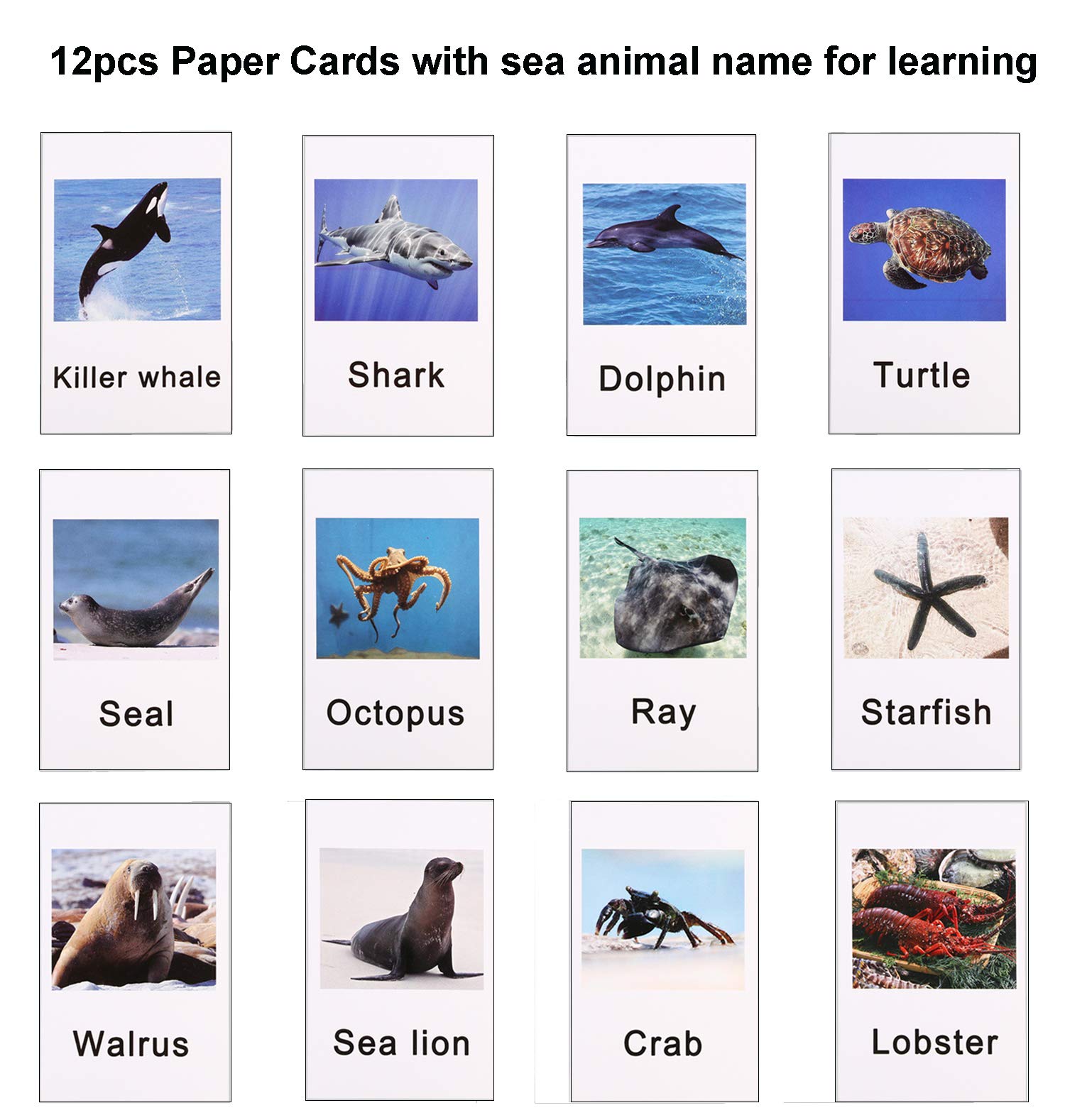 12 Pcs Ocean Sea Animal Figures With 12pcs Matching Cards | Desertcart ...