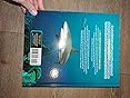 The Ultimate Book of Sharks (National Geographic Kids): Skerry, Brian ...
