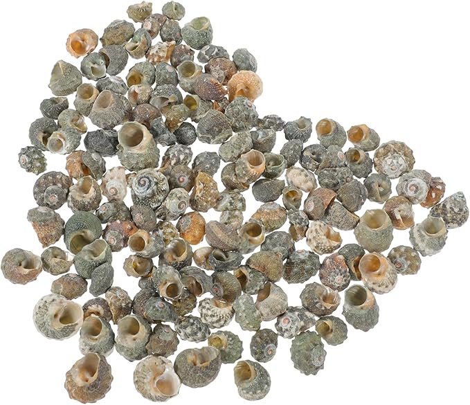 Amazon.com: DRESSOOS 200pcs Conch Fish Tank Decorations Birthday ...