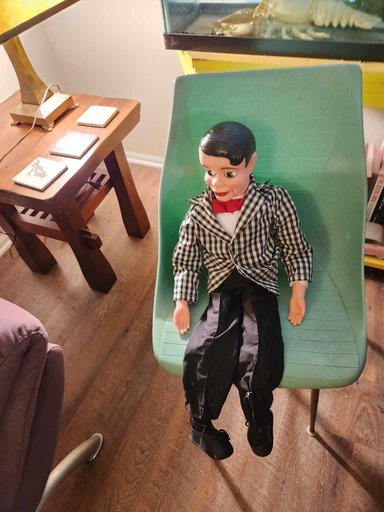 Amazon.com: Danny O’Day Dummy Ventriloquist Doll, Voice of Nestlé ...