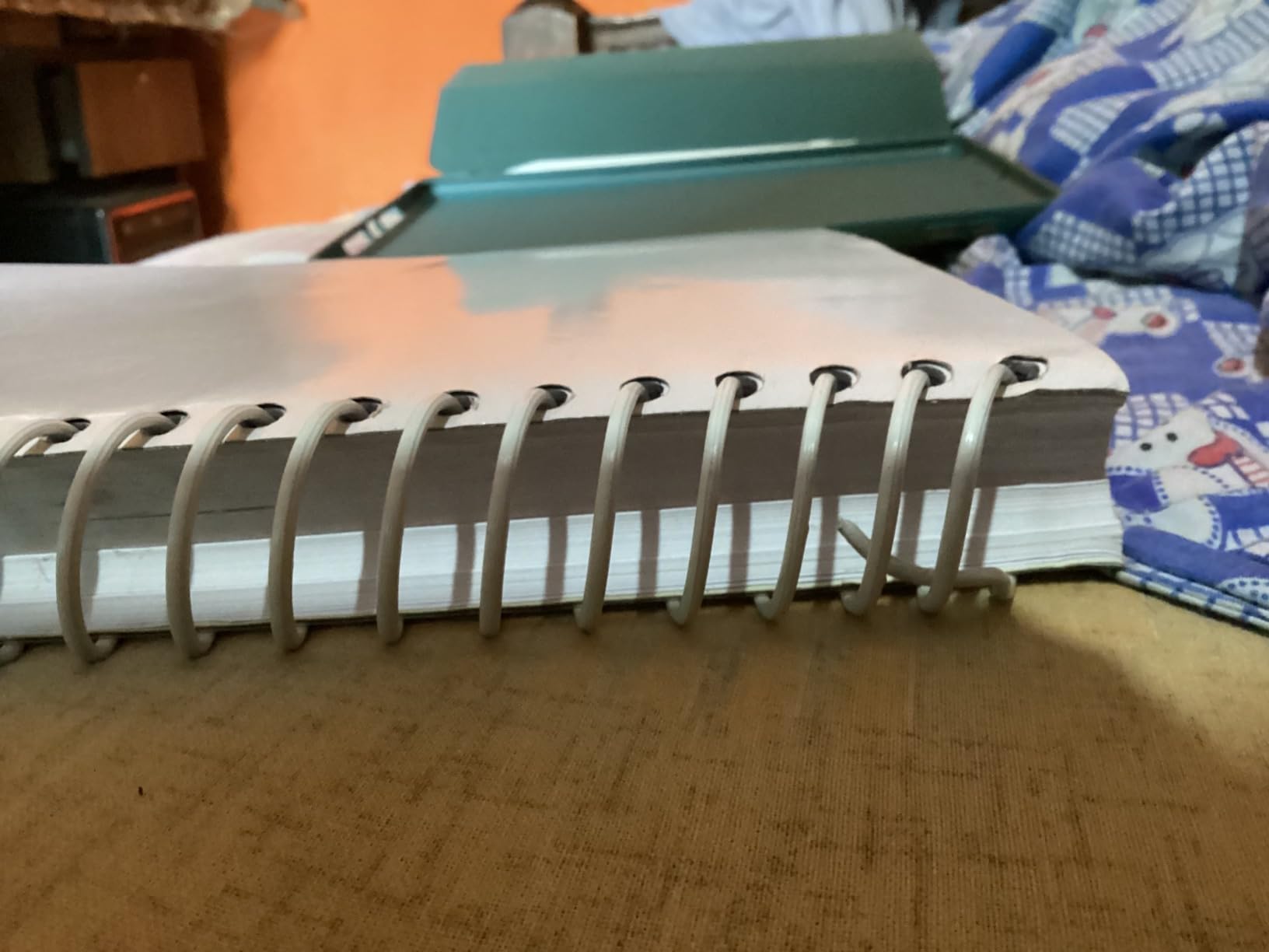 amblitz Spiral Notebook (A4, 500 pages) Single Line Ruled : Amazon.in ...