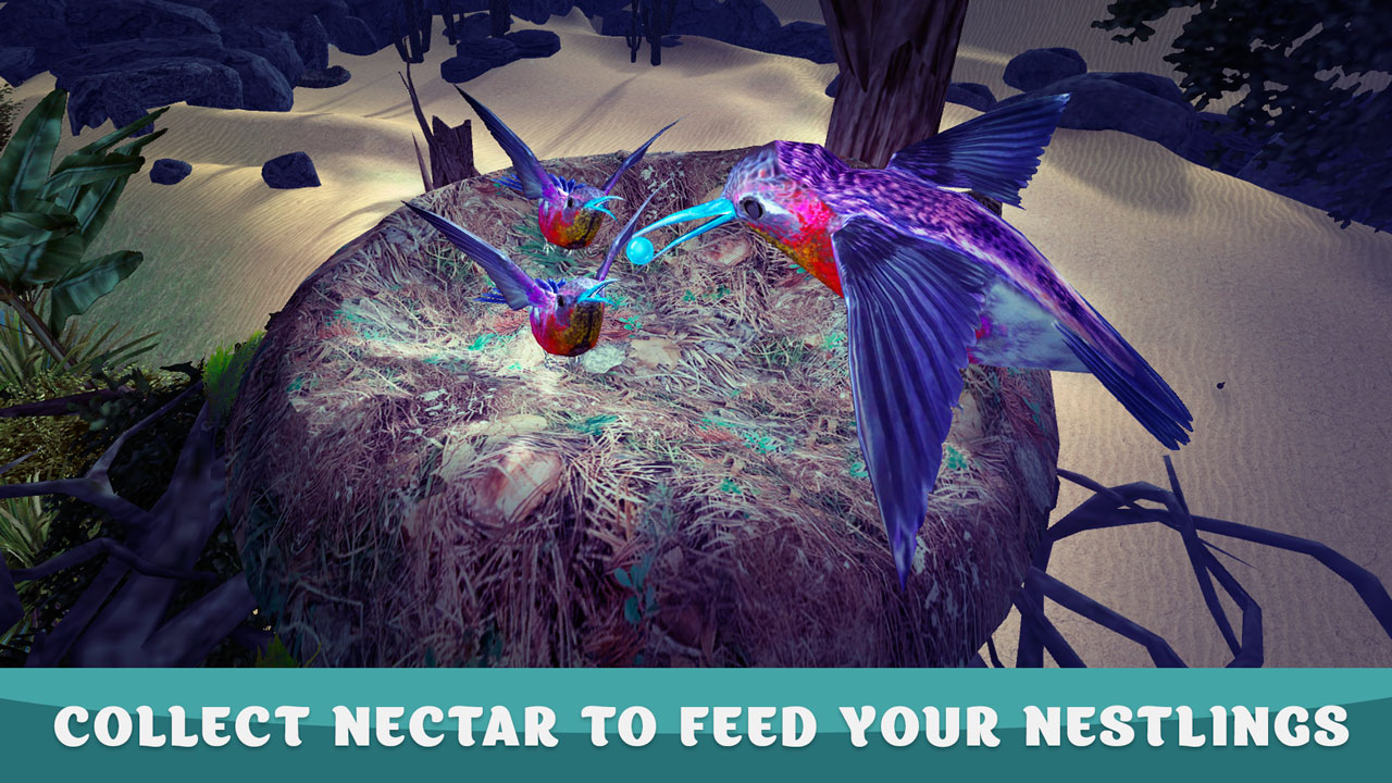Humming Bird Wildlife Simulator Game: Flower Eating Bright Color Dash ...