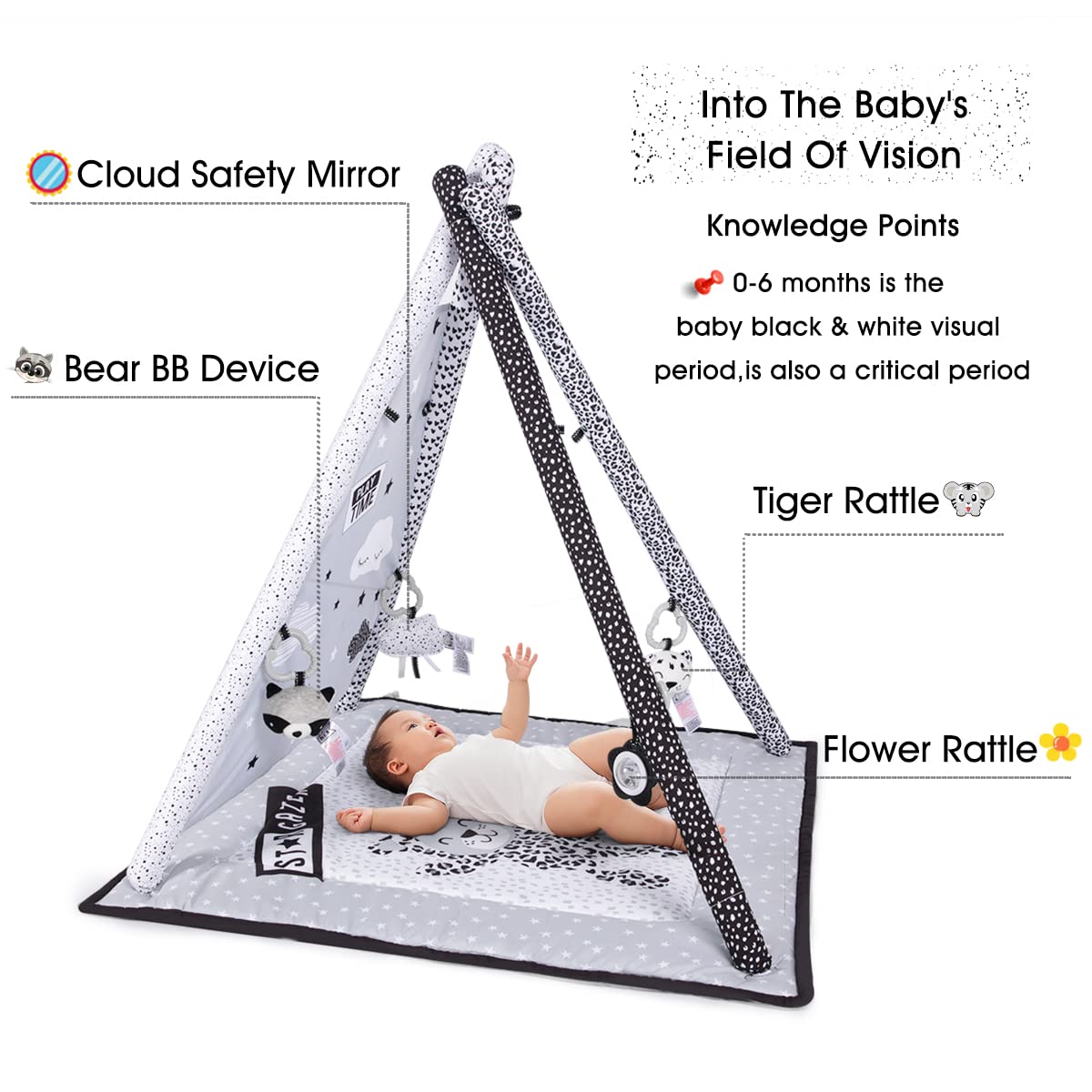 Snapklik.com : Baby Gym Play Mat Stage-Based Development Activity Mats ...