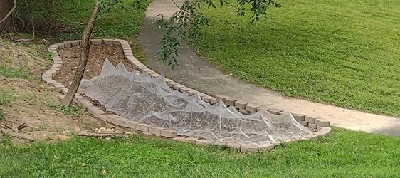 Amazon.com : Garden Netting, Plant Covers 10x33Ft Net Ultra Fine Mesh ...