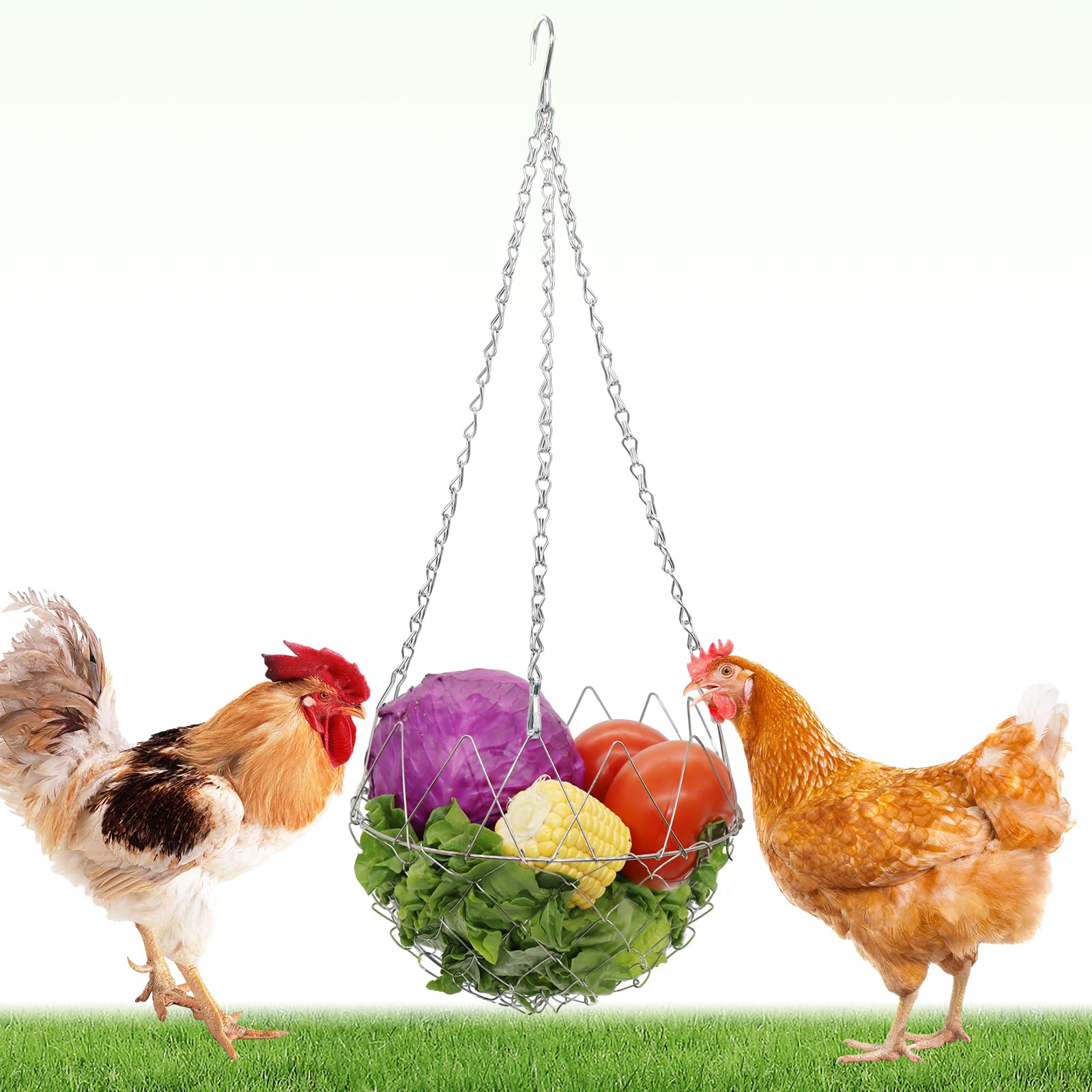 Amazon.com : Chicken Feeder, Chicken Toys, Metal Hanging Feeding ...