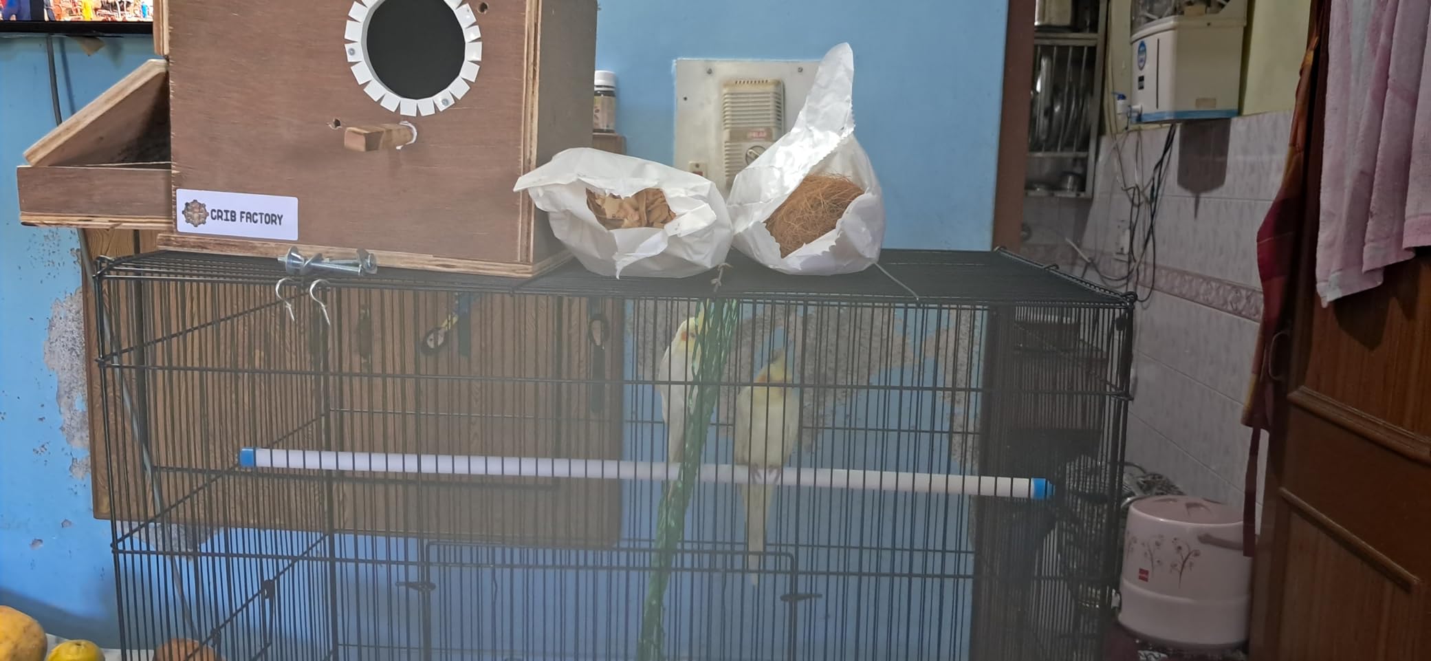 Crib factory Perfect Breeding Box for cockatiel birds | HIGH-QULTY ...