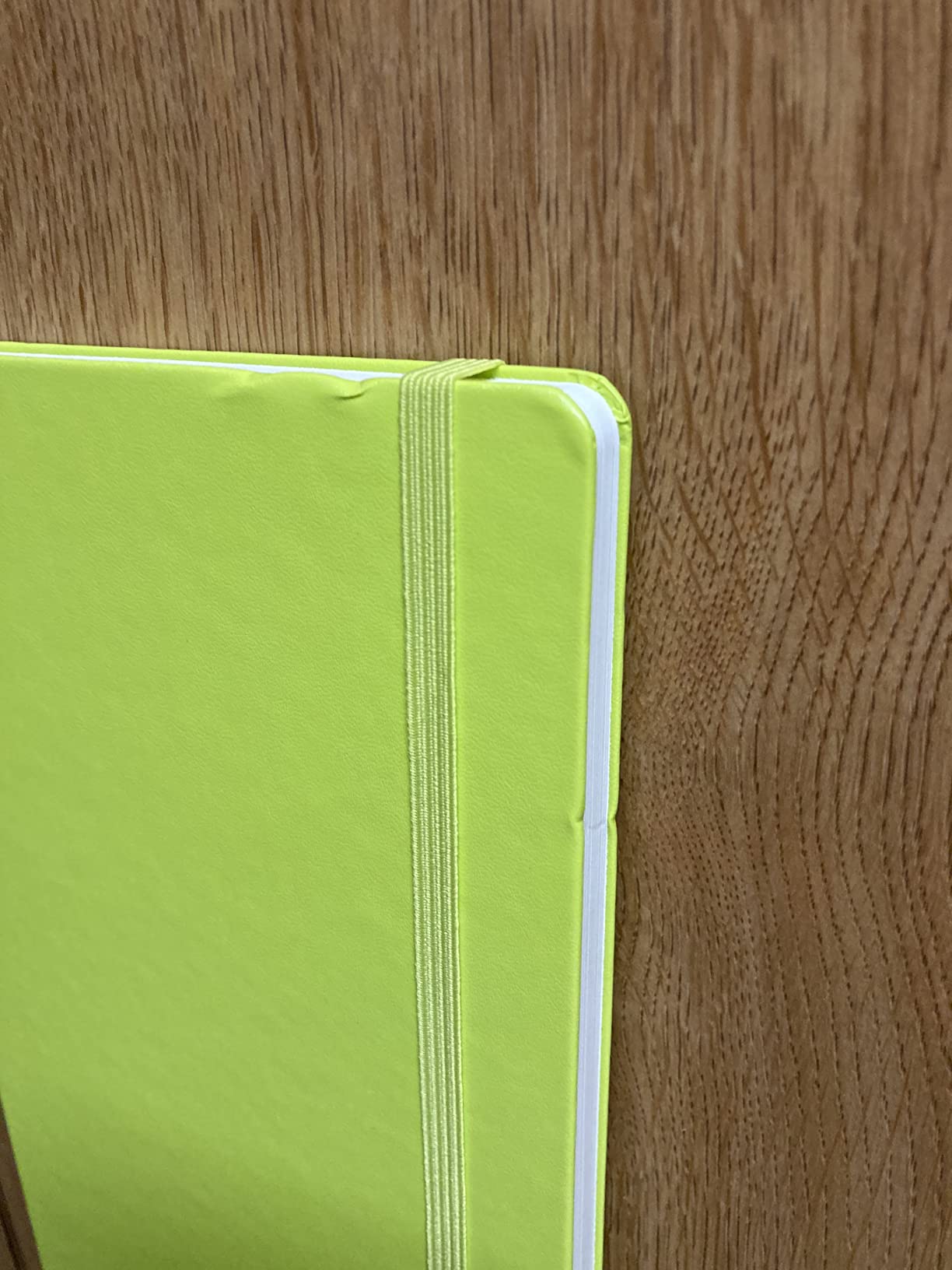Moleskine - Classic Hard Cover Notebook - Dot Grid - Large - Myrtle ...