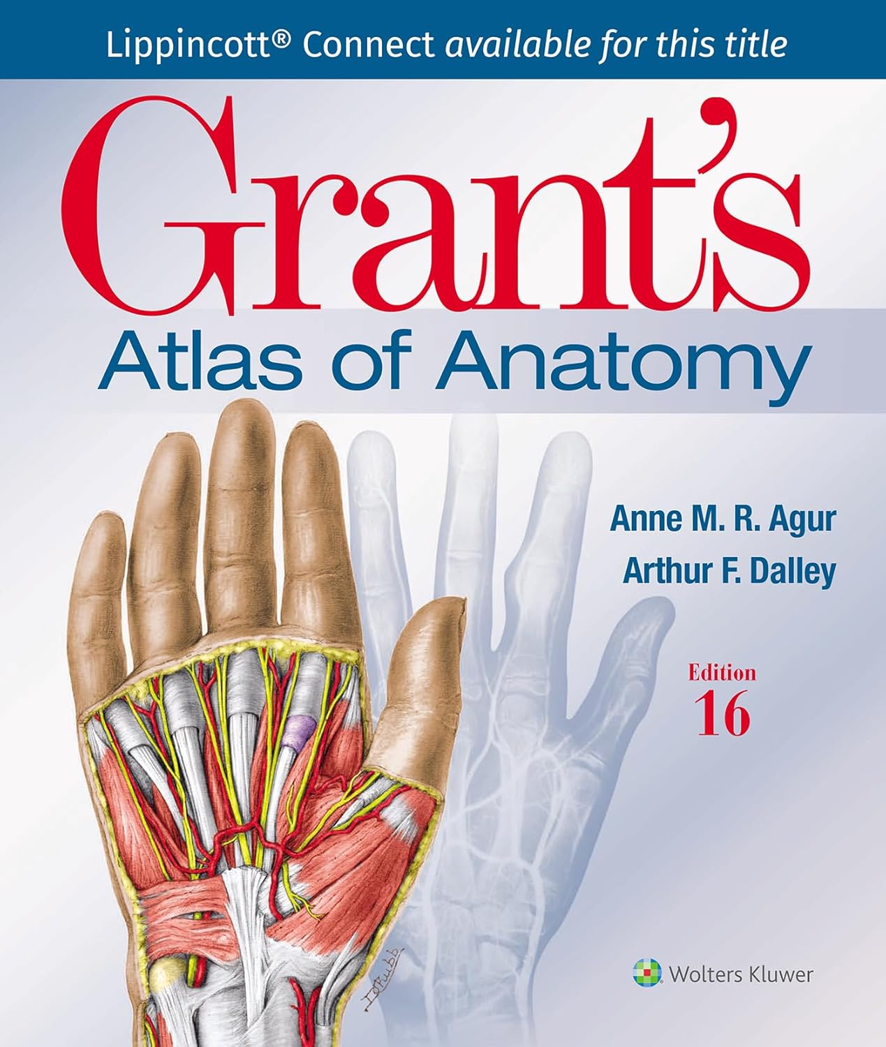 Grant's Atlas of Anatomy (Lippincott Connect) : Agur, Anne M. R ...