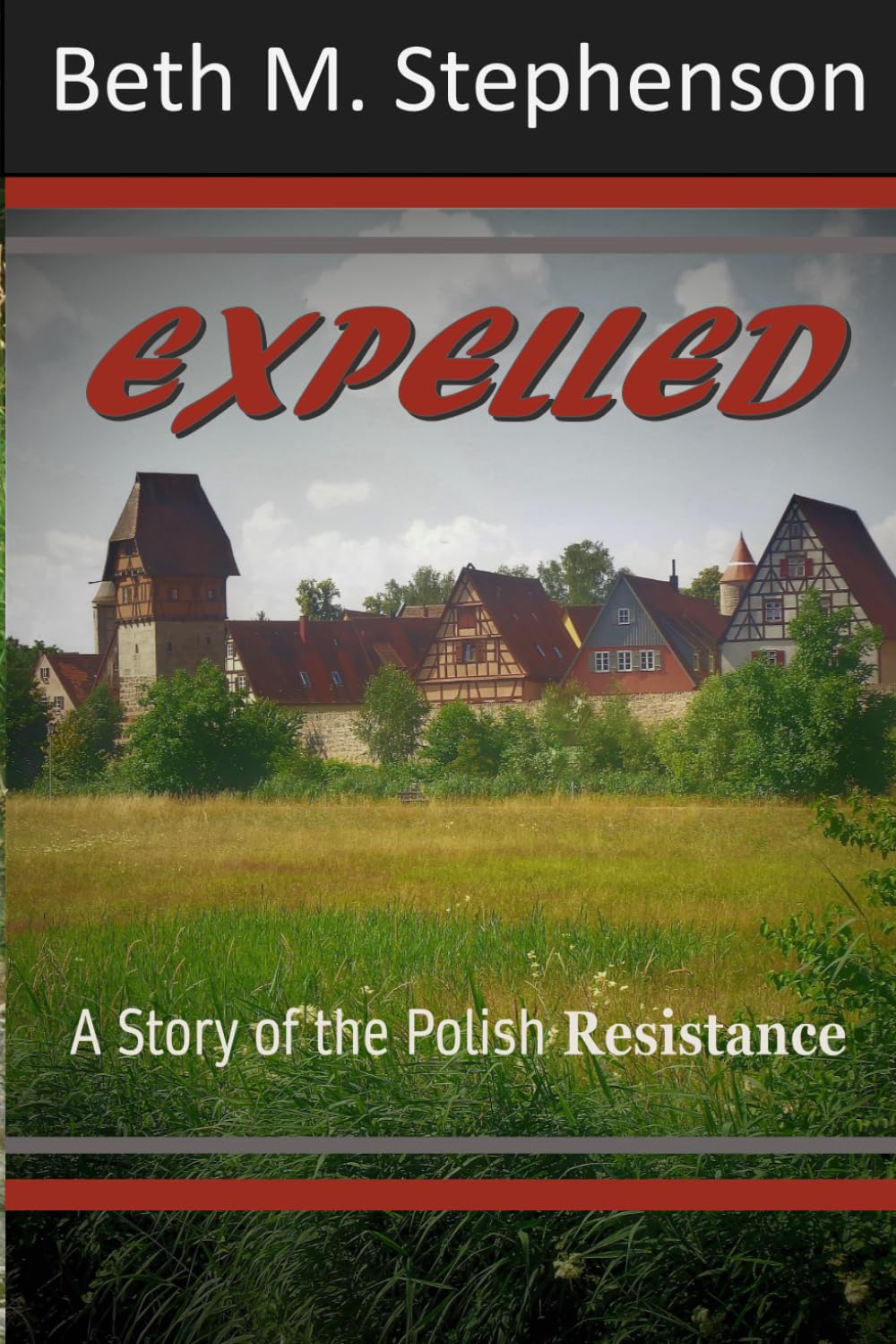 Expelled: A Story of the Polish Resistance: Stephenson, Beth M ...