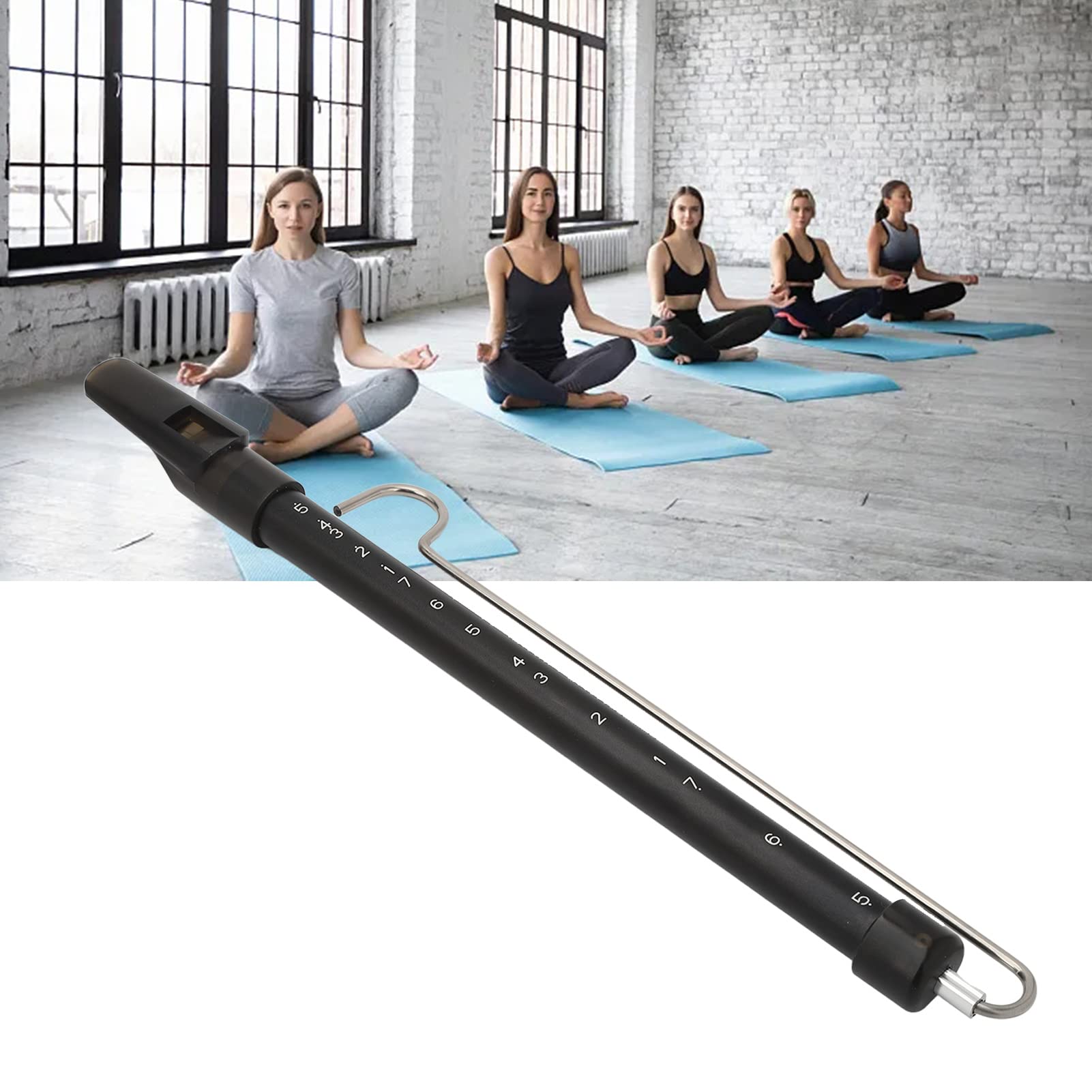 Amazon.com: Slide Whistle Aluminum Musical Slide Whistle Games Scale ...