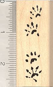 Amazon.com: Ferret Paw Prints Rubber Stamp, Weasel Tracks : Toys & Games