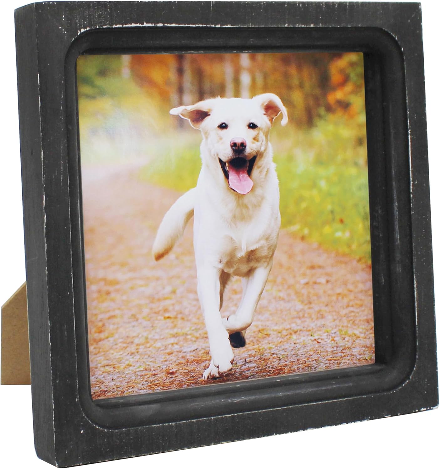 Amazon.com - CVHOMEDECO. 6x6 Picture Frame Made of Solid Wood High ...